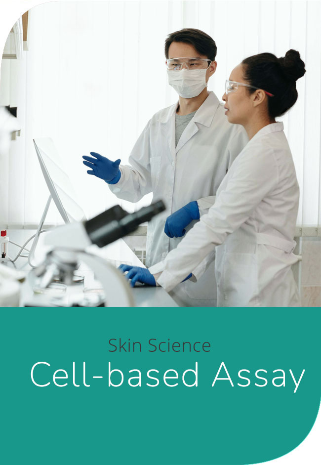 Cell-based Assay